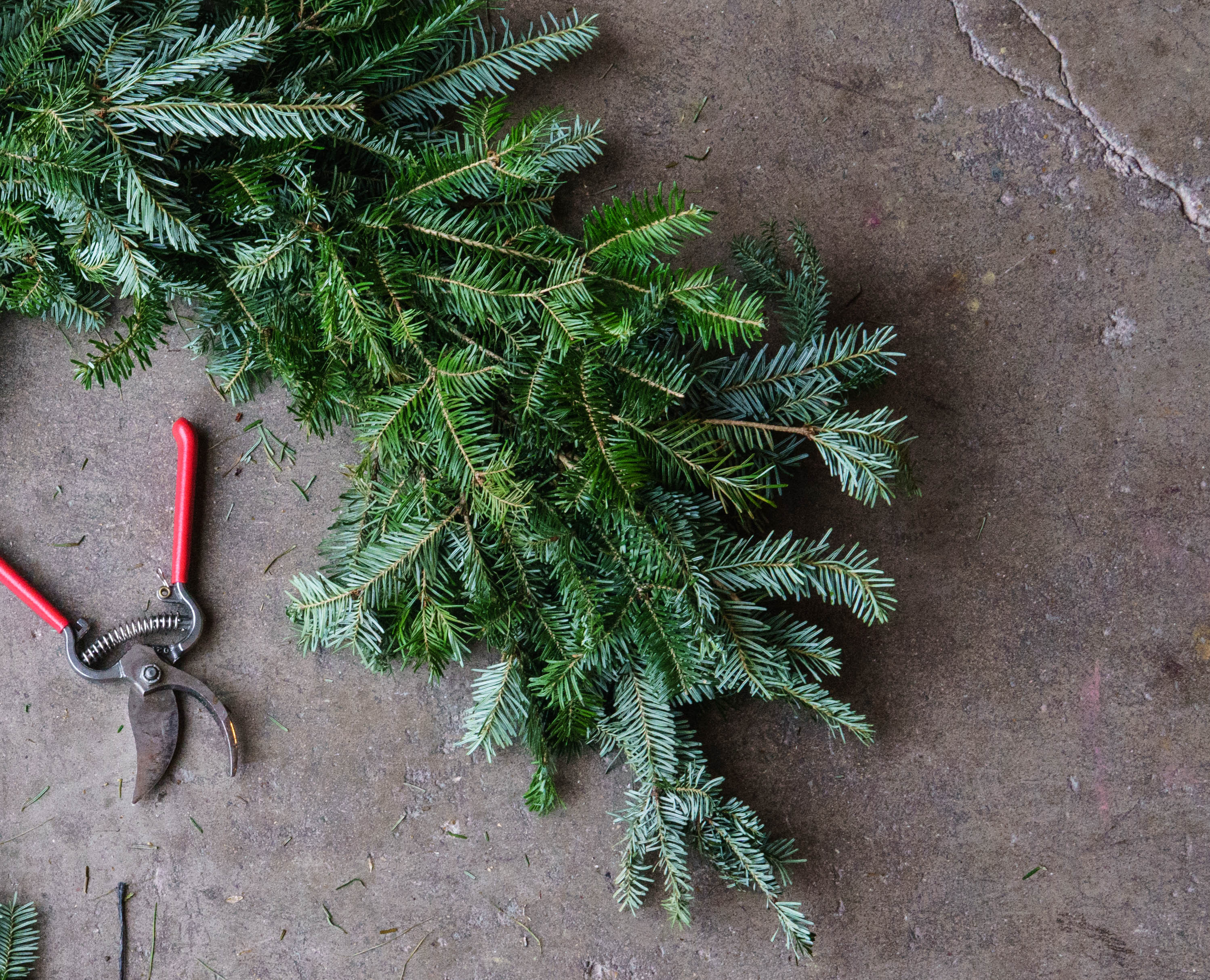 Lookbook – Gracious Garlands