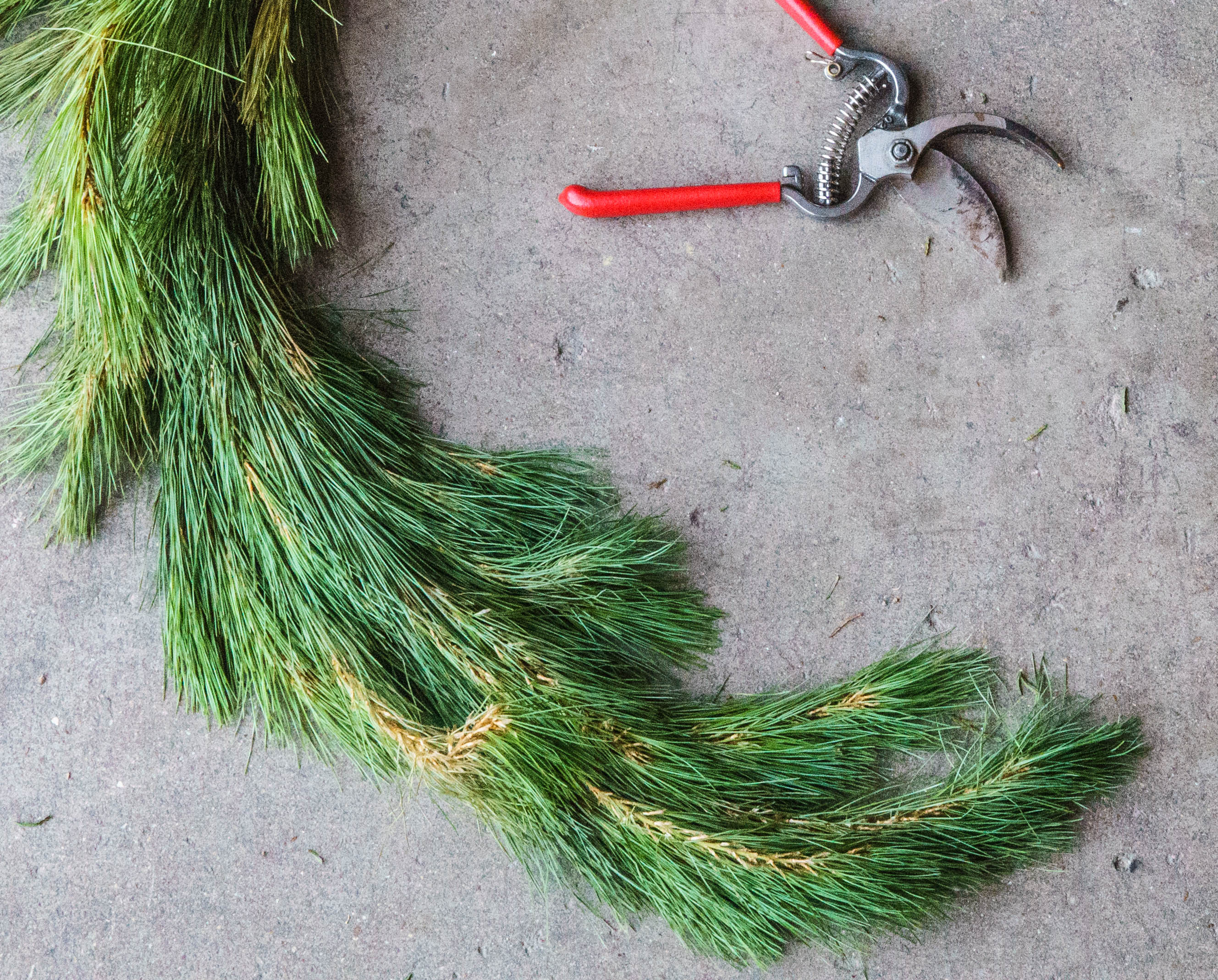 Lookbook – Gracious Garlands